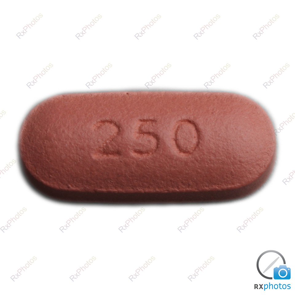 Pms Levofloxacin tablet 250mg | Brunet