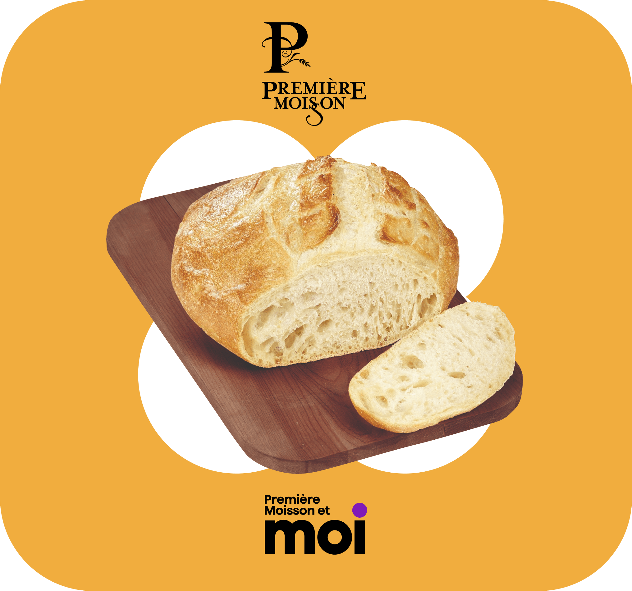 Moi Program | Brunet